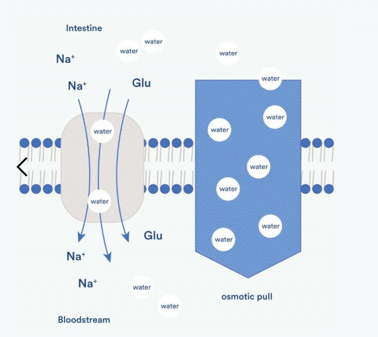 My Morning Recovery Drink Review (Tested on a Hangover)